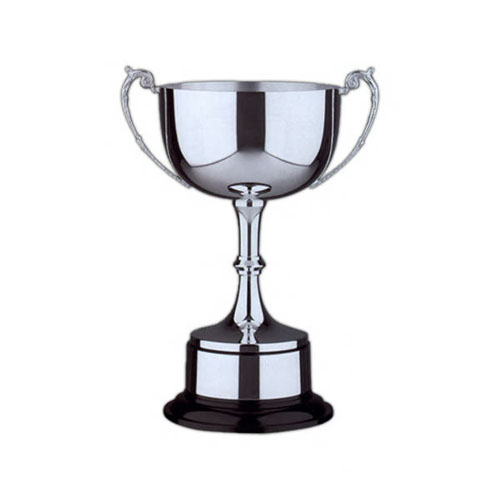 Cambridge Cup by Athletic Awards