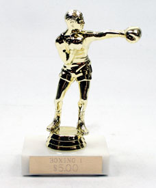 Boxing Trophies & Awards | Athletic Awards