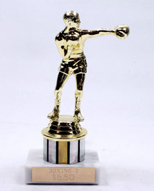 Boxing Trophies & Awards | Athletic Awards