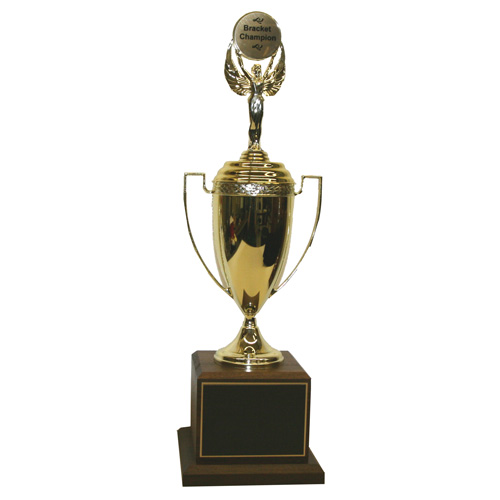 Fantasy Football Trophies, Seattle Engraving, Trophy, Award