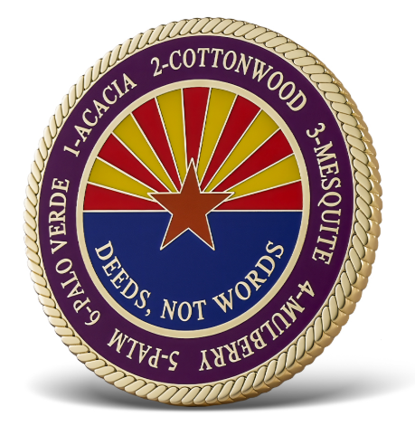 Custom Hard Enamel Coins | Athletic Awards