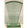 Clear Glass Vision Award, Seattle Engraving, Trophy, Award